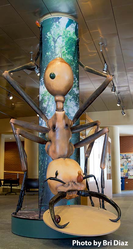 April 2017: exhibit opening | AntU Activities